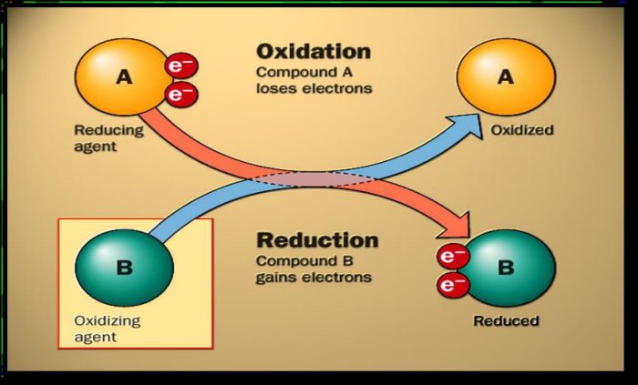 Oxidation and Reduction reactions by losing and gaining the electrons ...