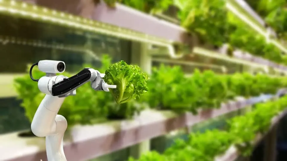 Agricultural robots advantages, disadvantages and use | Science online