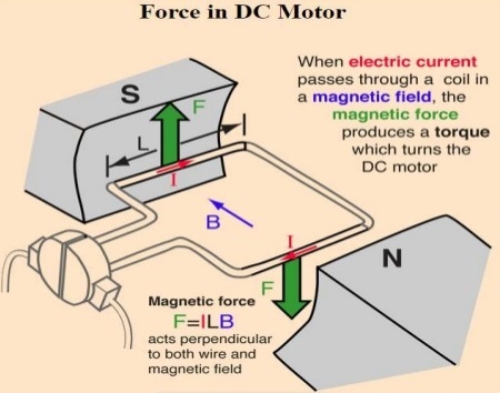 Magnetic force and Torque, Factors that affect the torque and magnetic ...