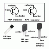 The structure of the human respiratory system | Science online