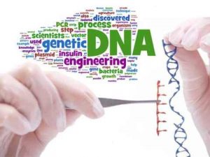 Molecular technology (Genetic Engineering) advantages, Techniques and ...