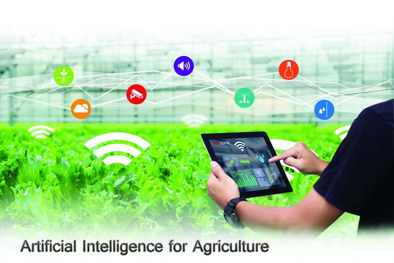 Artificial Intelligence in Agriculture advantages, disadvantages and ... Artificial Intelligence in Agriculture advantages, disadvantages and ...