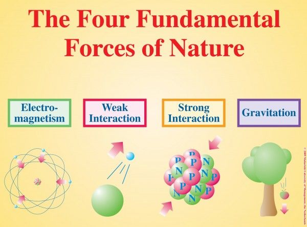 Fundamental Forces in nature, Gravitational forces, Electromagnetic forces & Nuclear forces ...