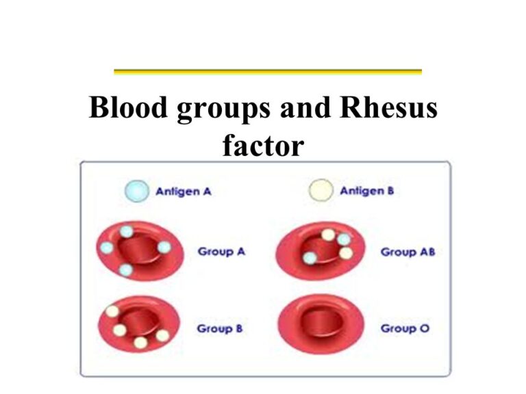 Blood groups, Rh blood groups, Erythroblastosis fetalis & Importance of ...
