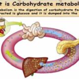 Animated GIFs (Graphic Interchange Format) advantages & disadvantages ...