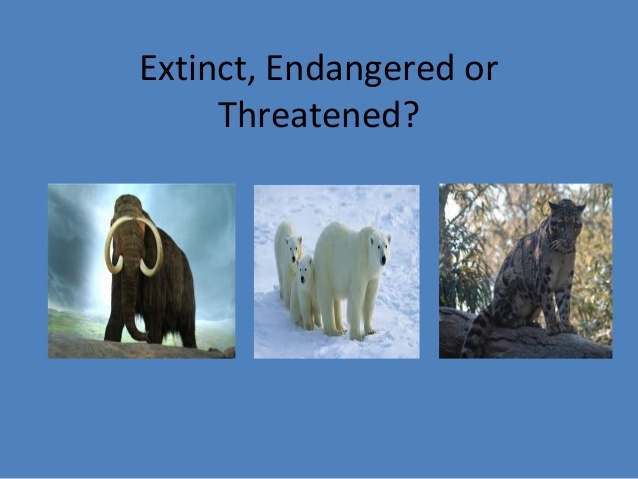 Natural protectorates, Reasons of extinction, Extinct and endangered ...