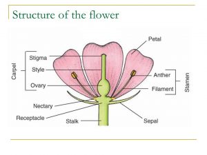 Types of reproduction in plants, Typical flowers, Structure and sex of ...