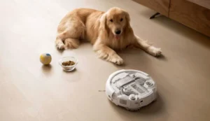 dji romo robot vacuum Review — Features, Advantages, Disadvantages ...
